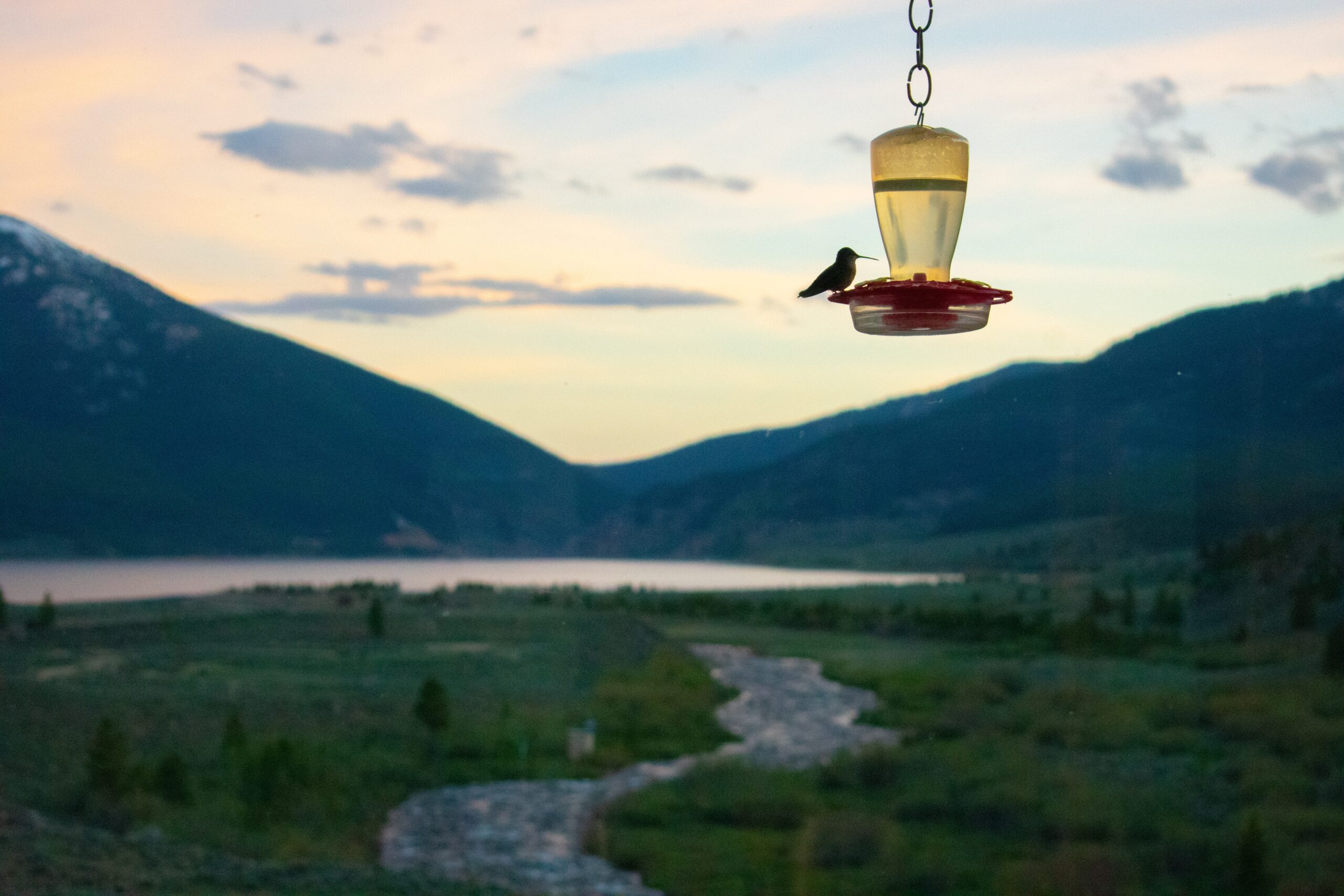 About - Hummingbird Sunrise Systems